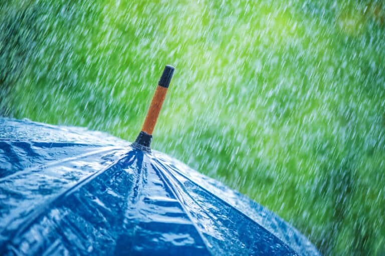 Types of Umbrella Handles Explained
