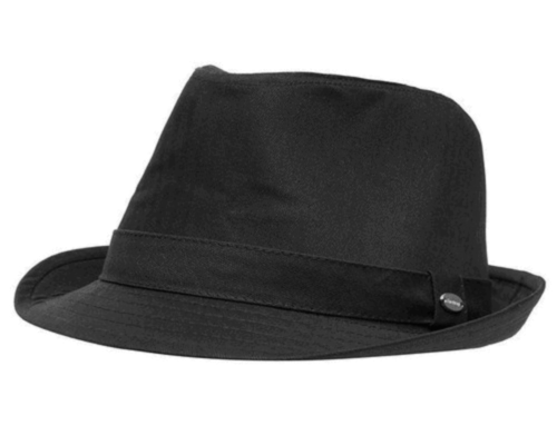 Trilby Hats - Essential Facts - Hat Realm